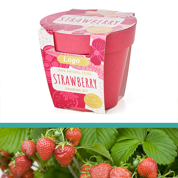 GrowIT - Plant in a pot - Strawberry | BrandHK Hong Kong Corporate Gifts